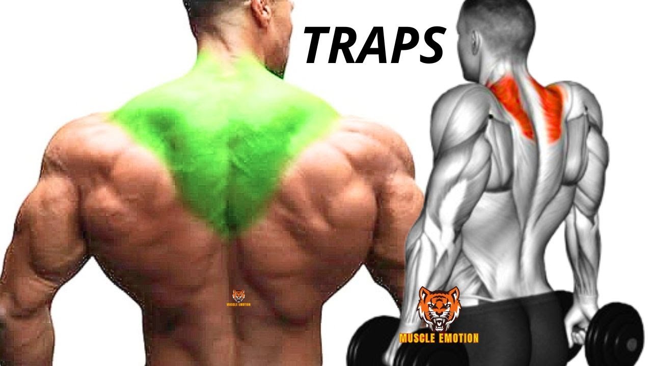 TRAPS WORKOUT- 5 BEST TRAPS EXERCISES AT GYM - YouTube