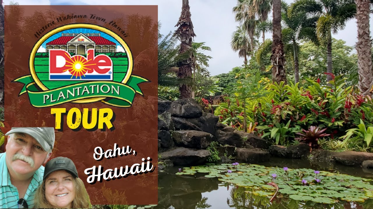Dole Plantation, Hawaii! Let's take the Pineapple Express Train Tour ...