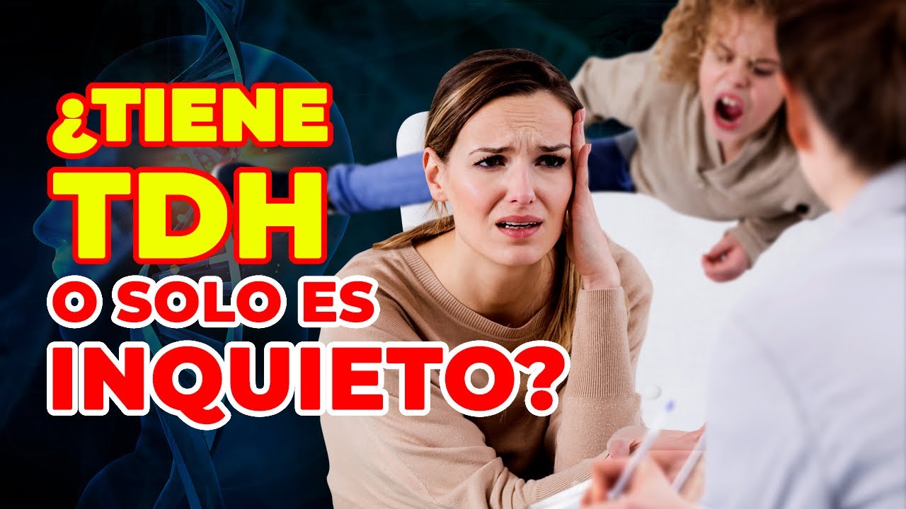 TDAH: Definición, síntomas , cómo diferenciarlo de un niño lleno de ...