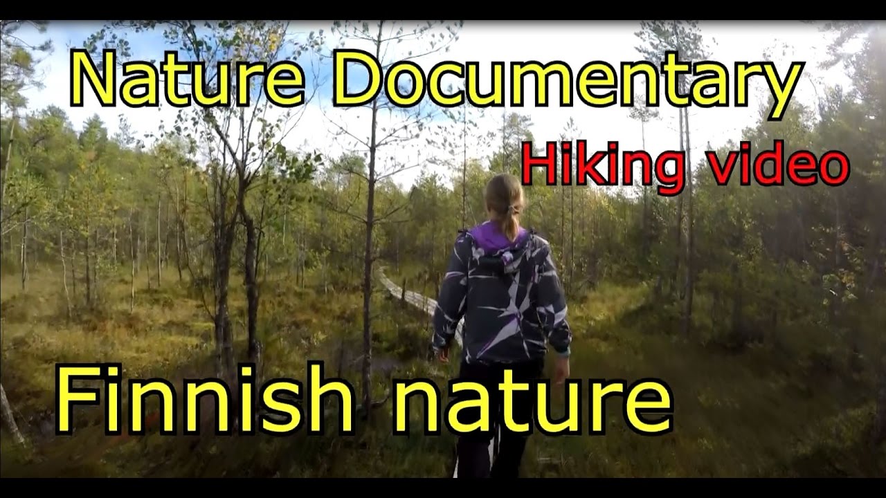 Nature Documentary-Wild nature in Finland-Wildlife and hiking Iso ...