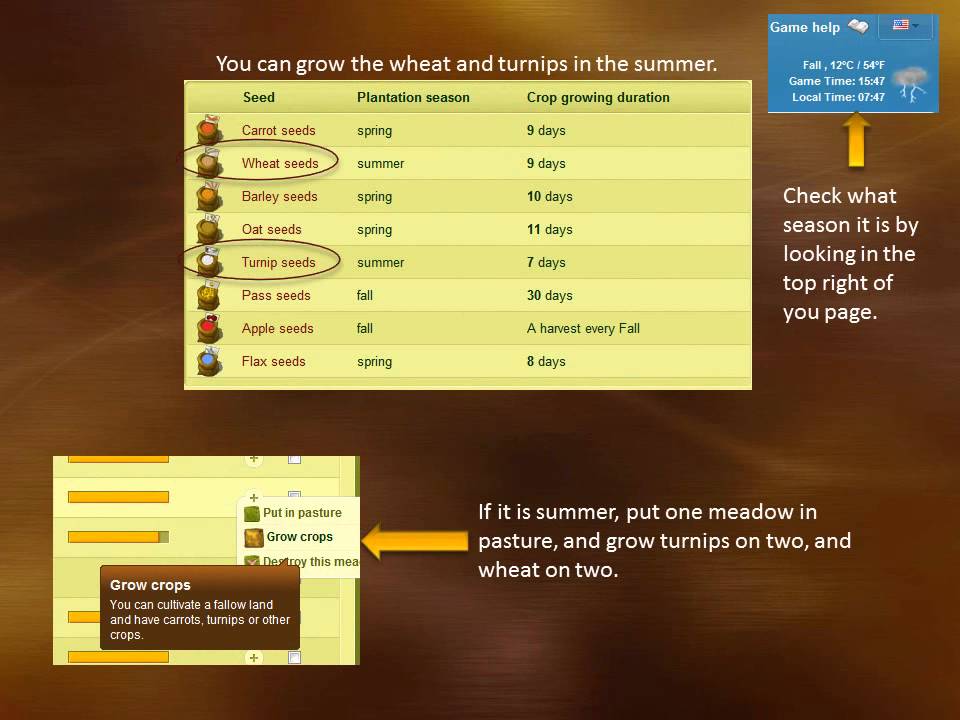 A Successful EC on Howrse - YouTube