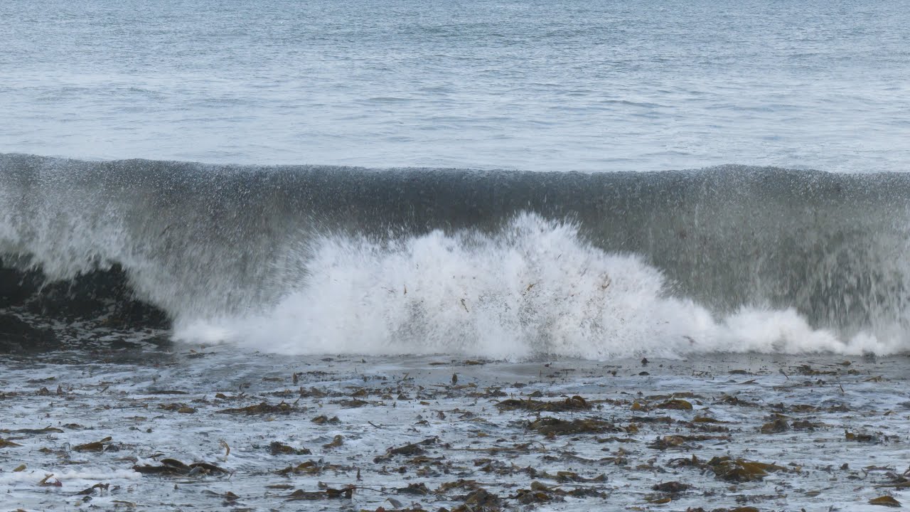 Waves Crashing on the Seaweed - Relaxing Nature Sounds - 4K UHD - YouTube