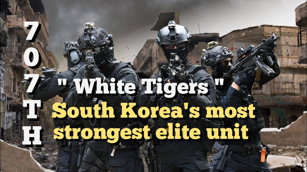 Most Strongest Elite Unit of South Korea's Military 707th | SFATW - YouTube