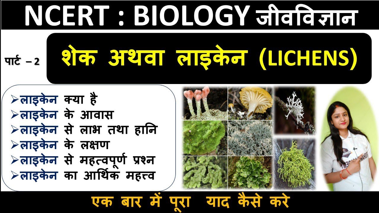 Lichens I Part - 2 I लाइकेन I Lichens क्या है I What is Lichens ...