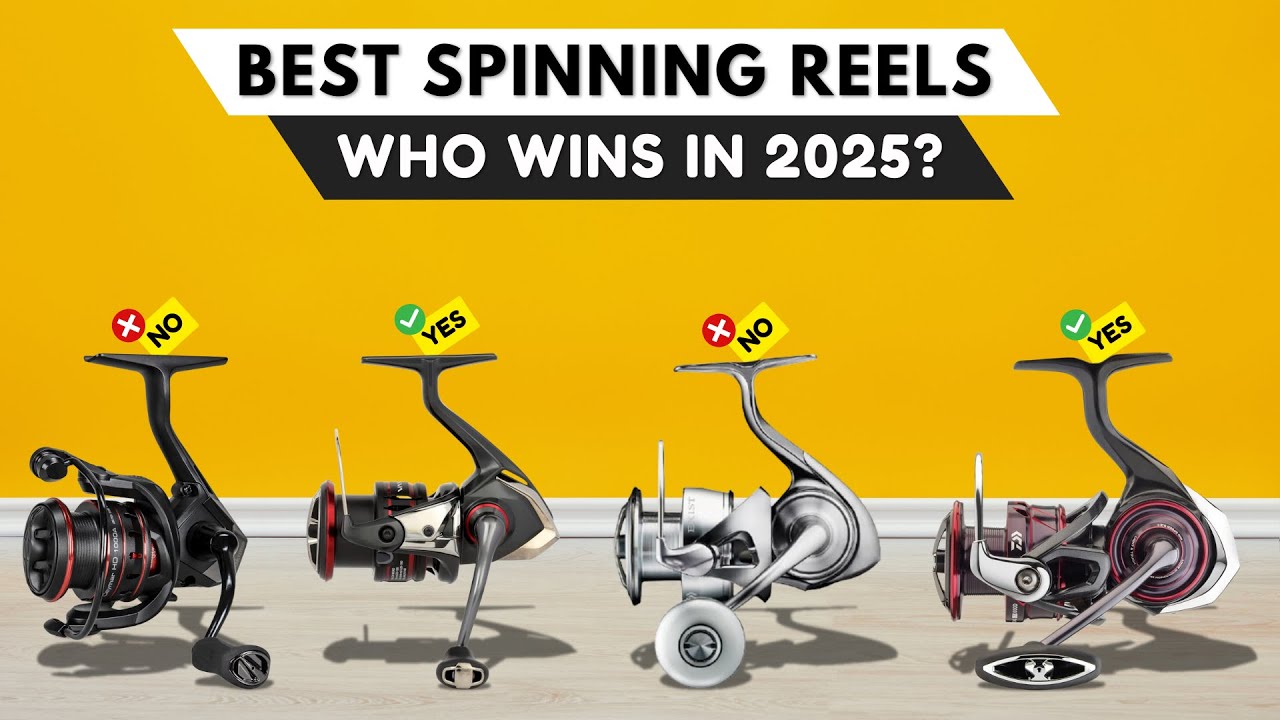 Best Trout Reels 2025