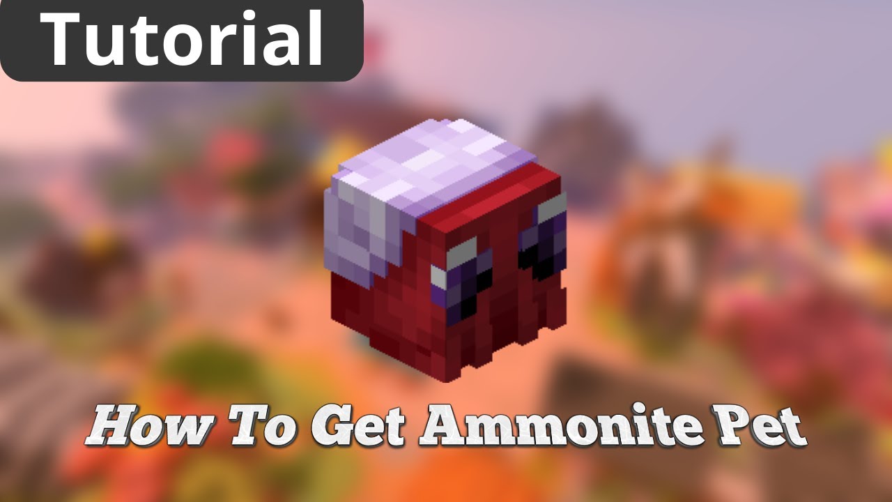 How To Get AMMONITE Pet in Hypixel Skyblock - YouTube