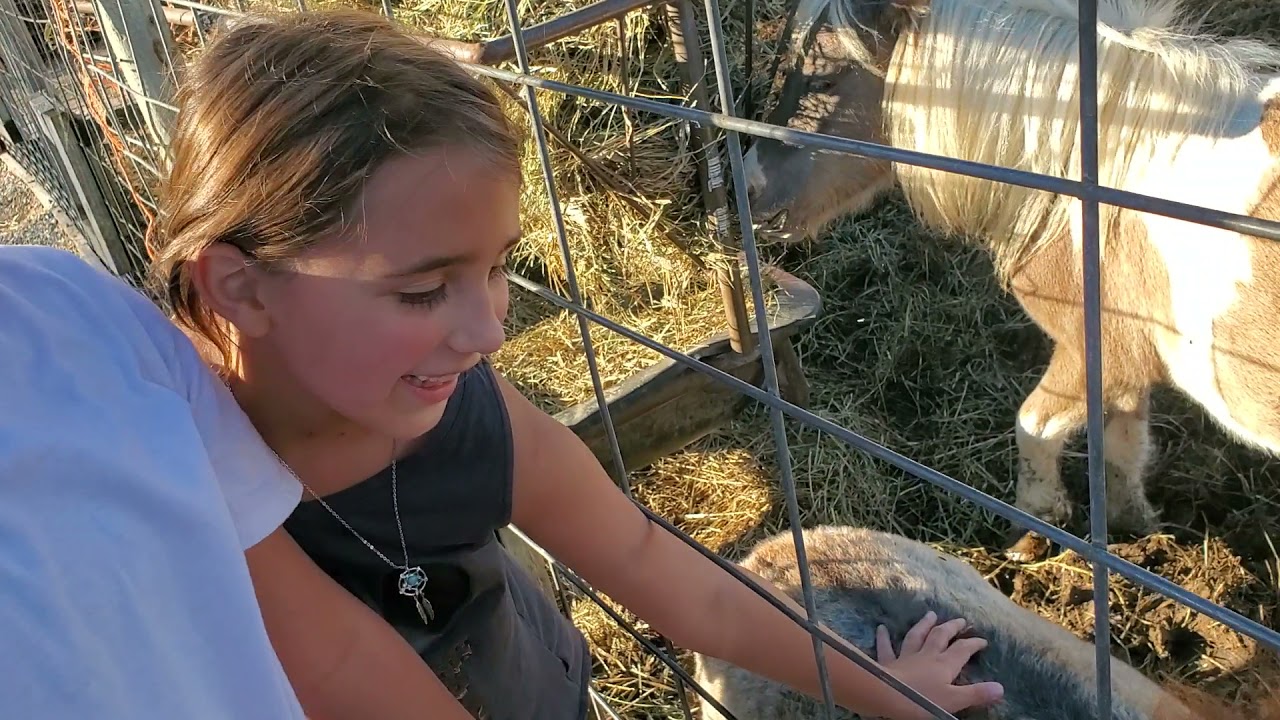 Fun Farm pumpkin patch Kansas City - YouTube