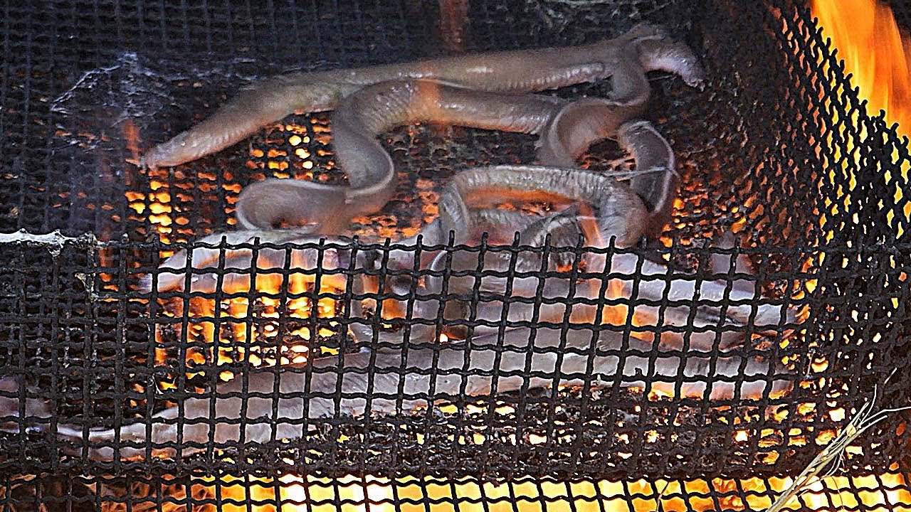1200도에서 구워버리는! 부산 기장 짚불곰장어 맛집(짚불꼼장어) | Hagfish (Eel) Straw Fire Roast ...