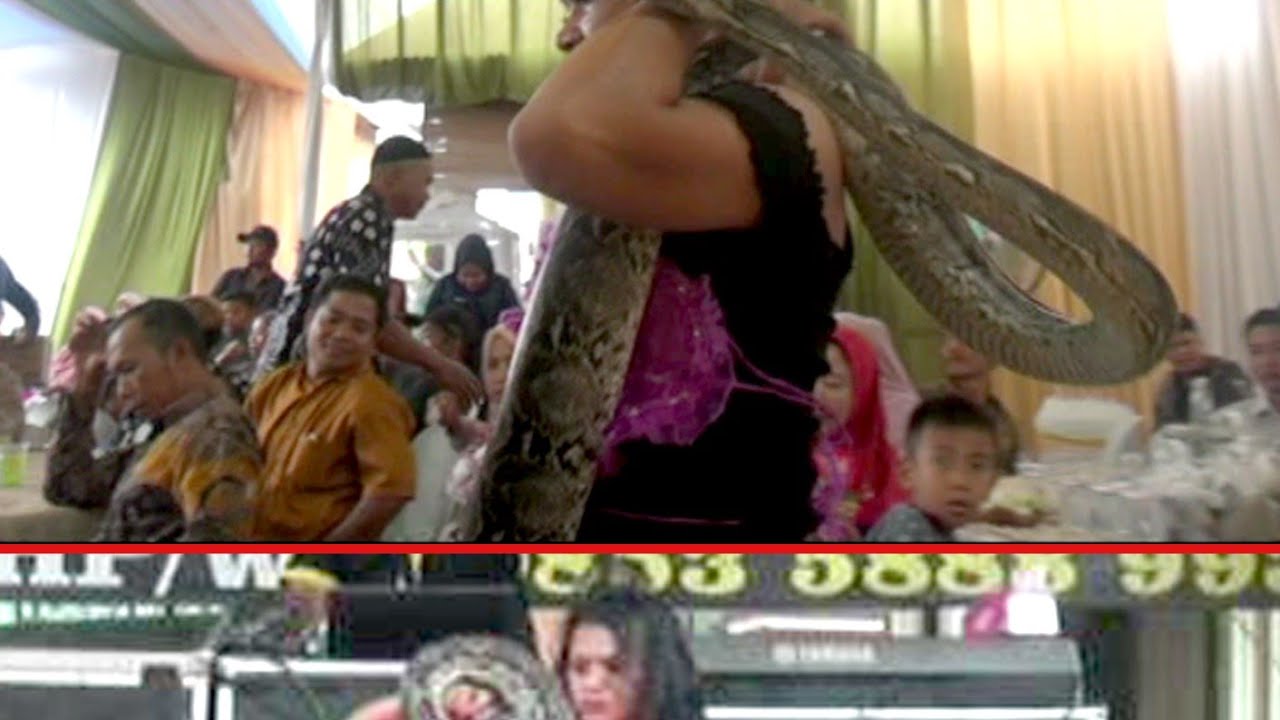 3 waria penari ular - YouTube