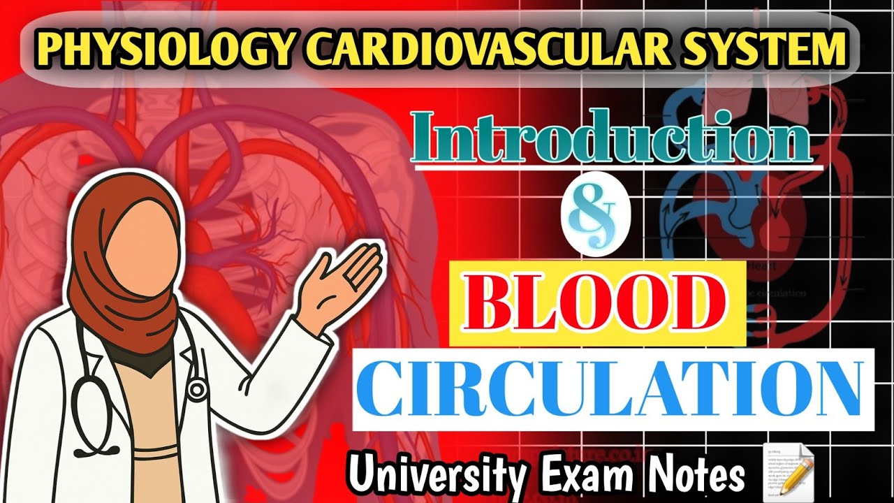 Blood circulation system | physiology | cvs | mbbs | bams bhms | bpth ...