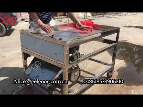Dry dates cutting machine - YouTube