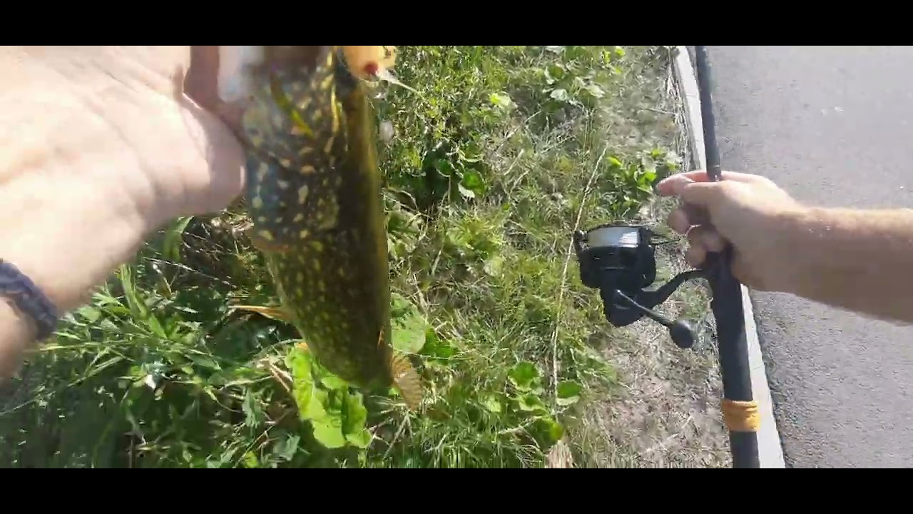 Just One fish but on My hand made lure 👍... - YouTube