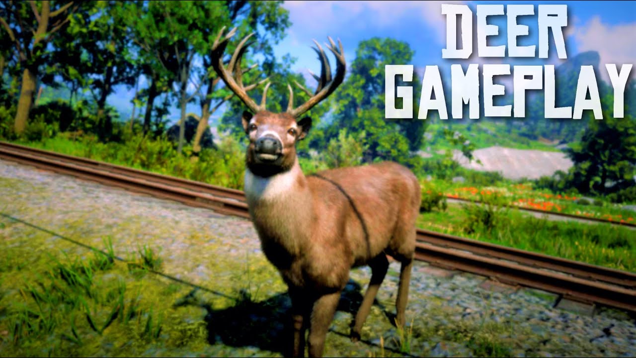 Playing as a Deer + Buck Location - Red Dead Online - YouTube