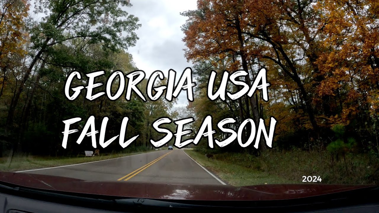 GEORGIA USA FALL SEASON OCTOBER 30, 2024 - YouTube