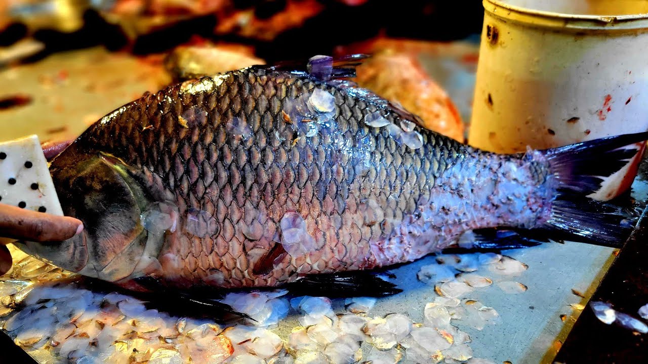 Amazing 8kg Katola Fish Cutting Skills - YouTube