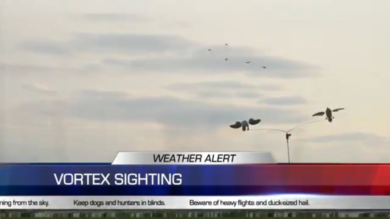 Watch a vortex of ducks on this hunt from Saskatchewan S4 E12 - YouTube