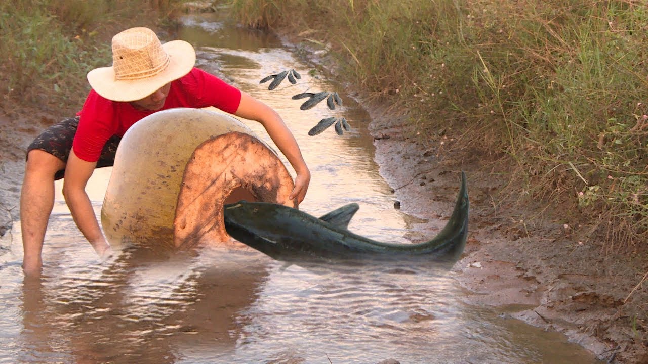 Awesome!! Clever Man Catch A Lot Of Fish By Coconut To Make The Trap ...