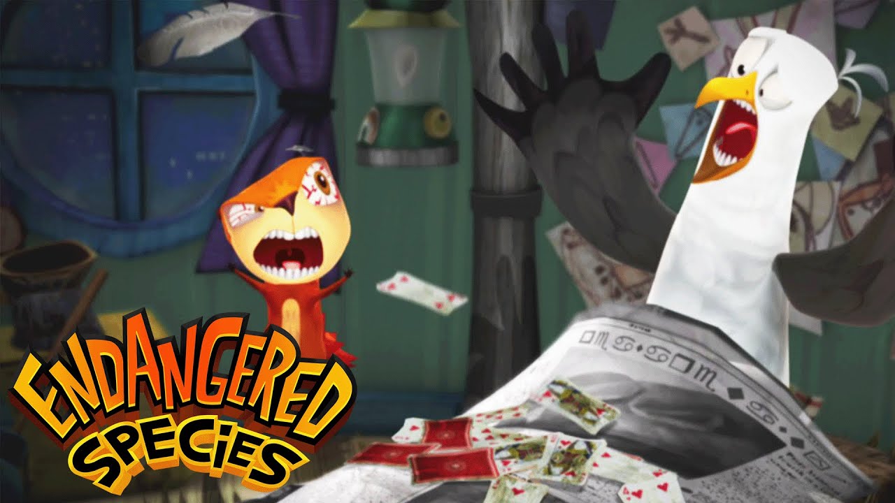 NEW! Gull to Sleep | Endangered Species - WildBrain | Full Episodes for ...