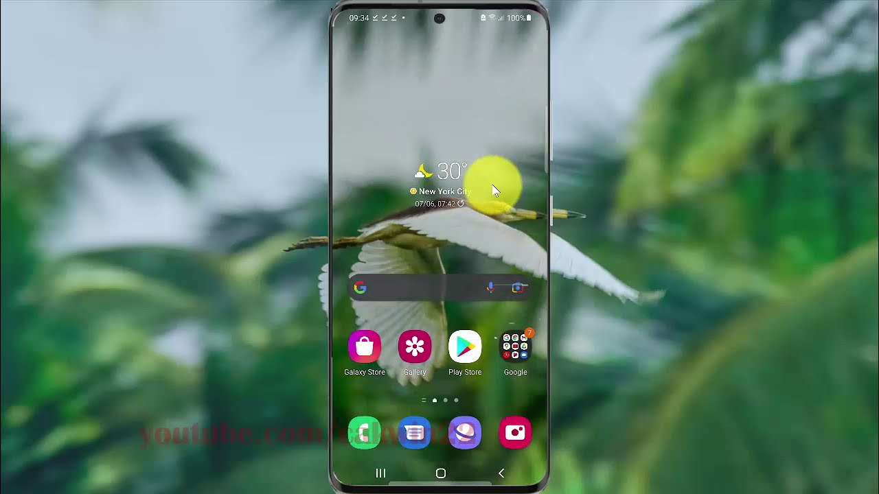 How To See Apps Have All Files Access Permissions In Samsung Galaxy S21 how-to-see-apps-have-all-files-access-permissions-in-samsung-galaxy-s21