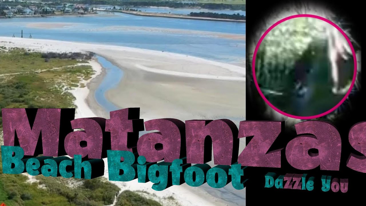 Beach-FOOT I Caught on cam Matanzas Inlet shows primate behavior - YouTube