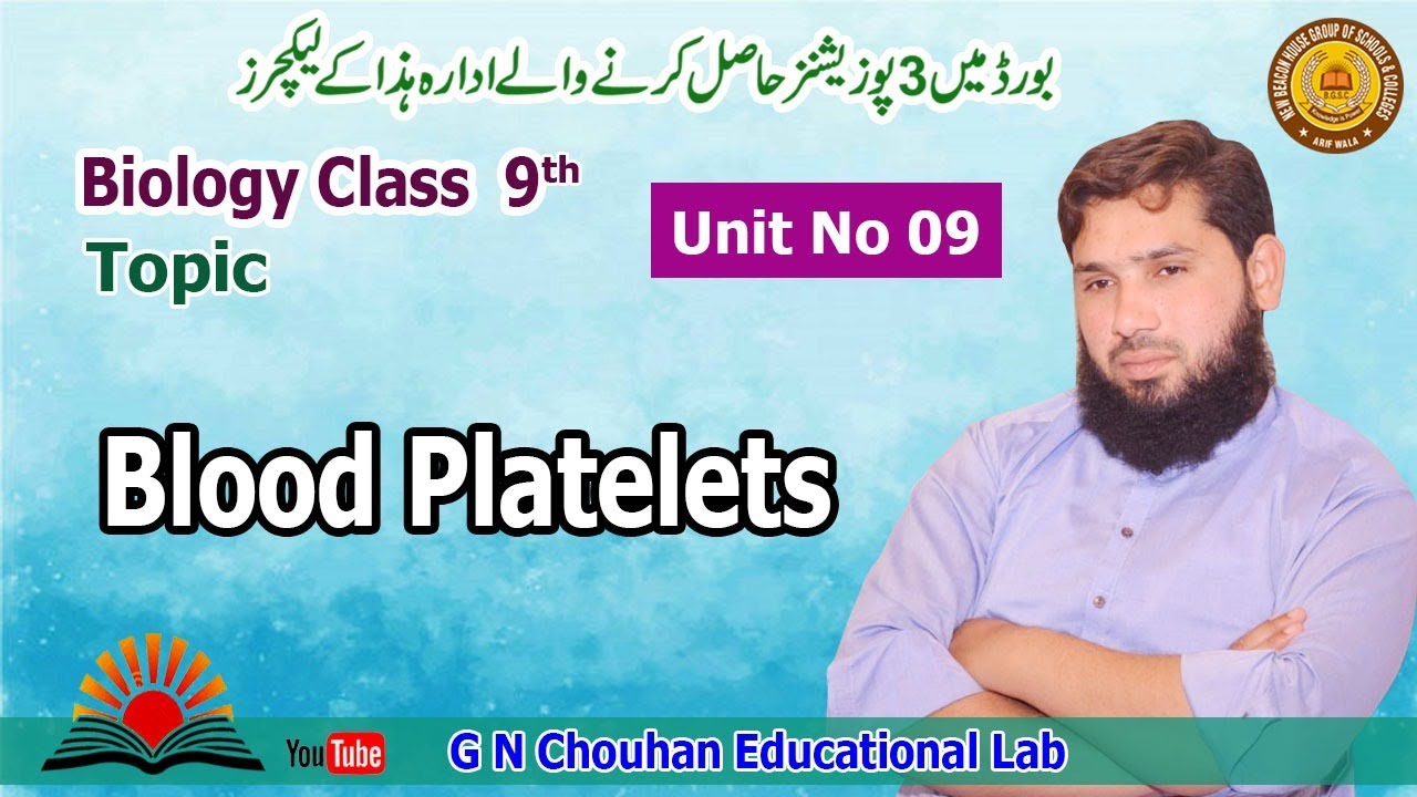 Blood Platelets class 9th Bio - YouTube