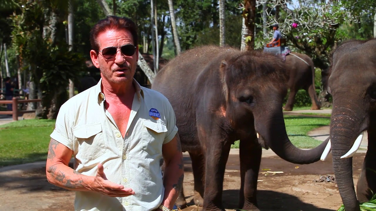 MASON ELEPHANT PARK AND LODGE - YouTube
