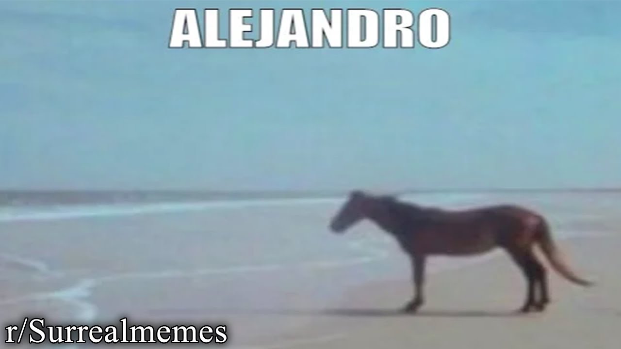 Alejandro Meme