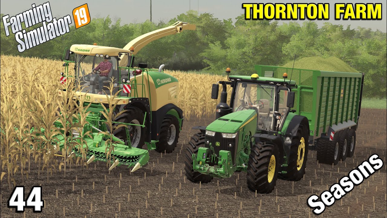 CUTTING CORN WITH A FORAGER FOR SILAGE Thornton Farm Timelapse - FS19 ...