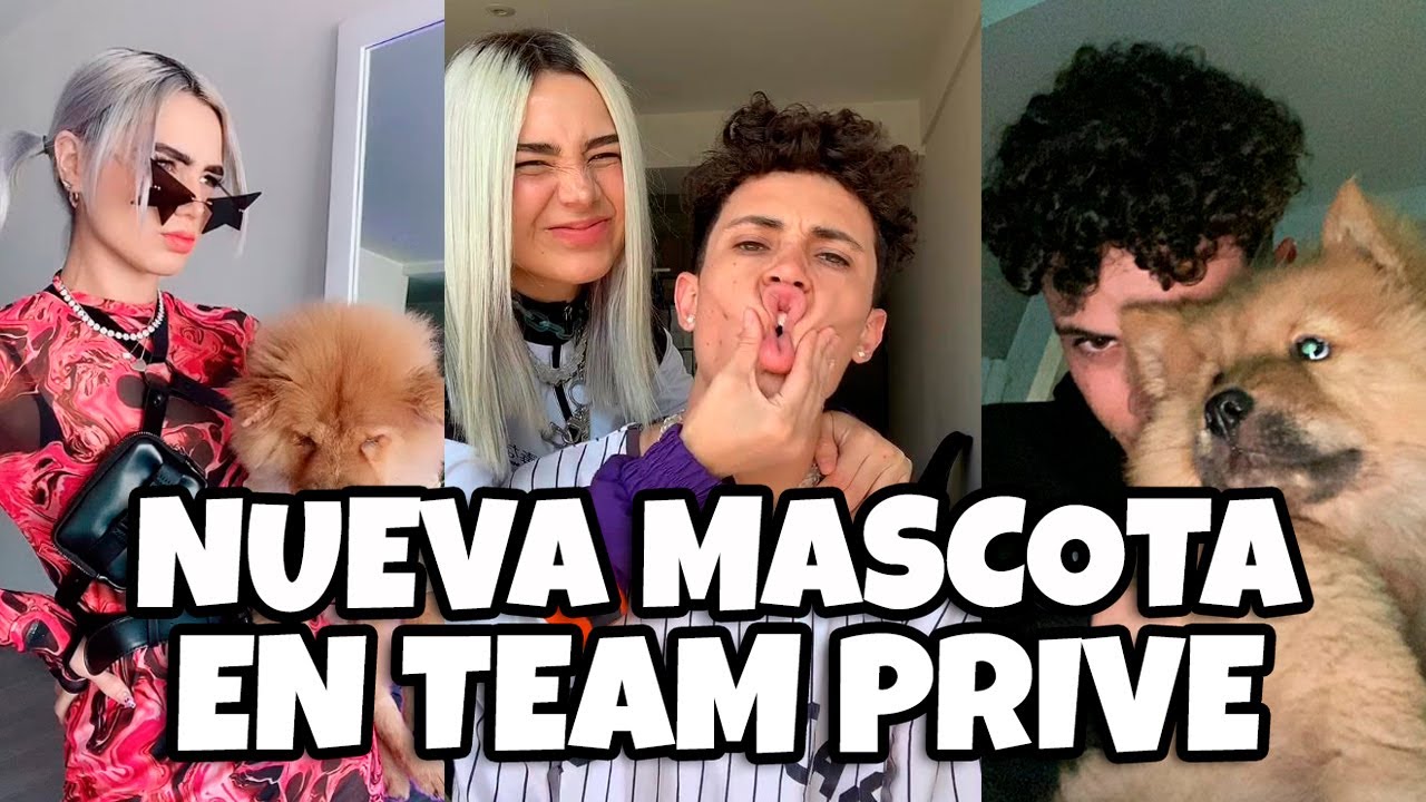 NUEVA MASCOTA en Team Prive 🐶 - YouTube