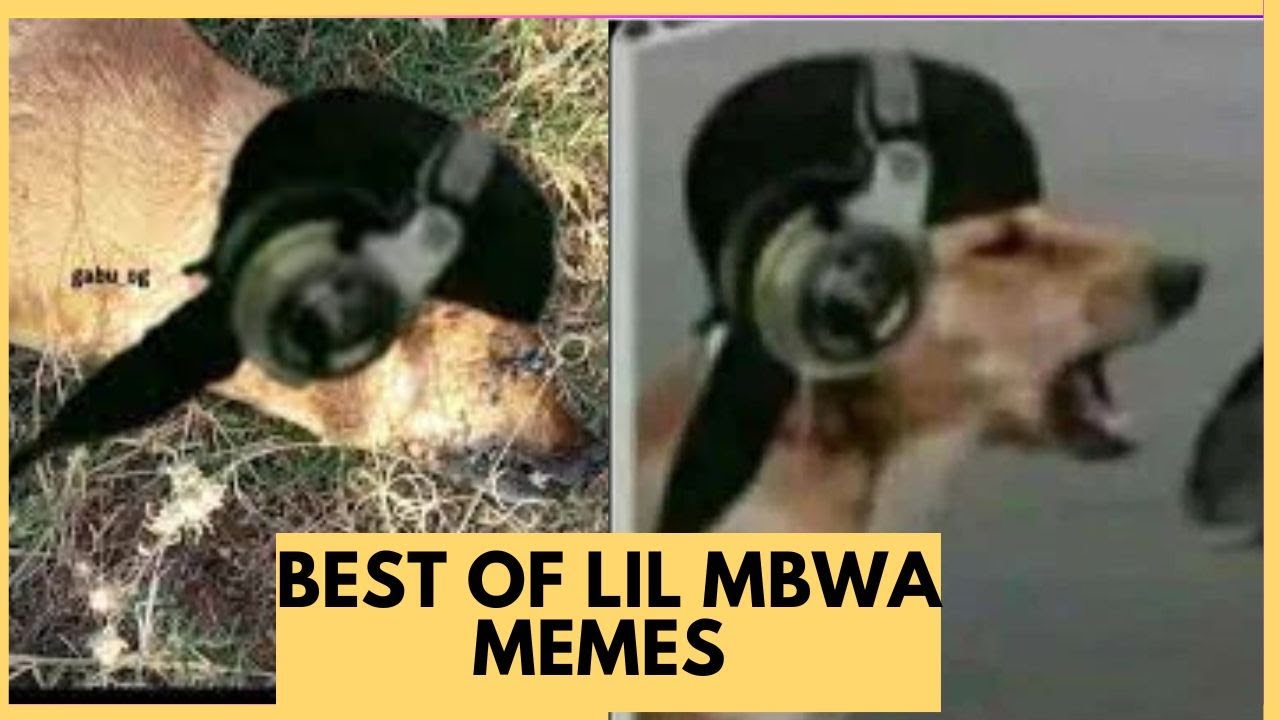Meet the best Rapper in Kenya [ compilation of lil mbwa memes] 💯💯💯 ...