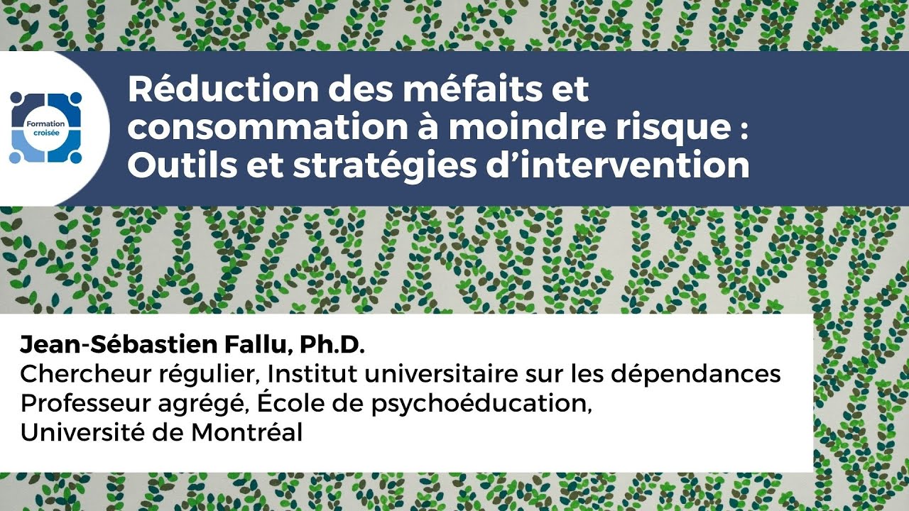 Réduction des méfaits et consommation à moindre risque : Outils et ...