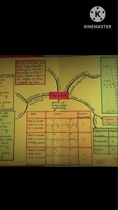 class 10 polynomial mind map || creative mind map of polynomial #shorts - YouTube
