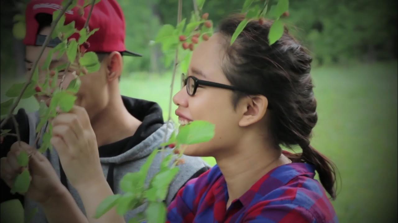 Karen song: Htee Moo Paw - Just a glance into my heart by Htee Moo Paw - YouTube