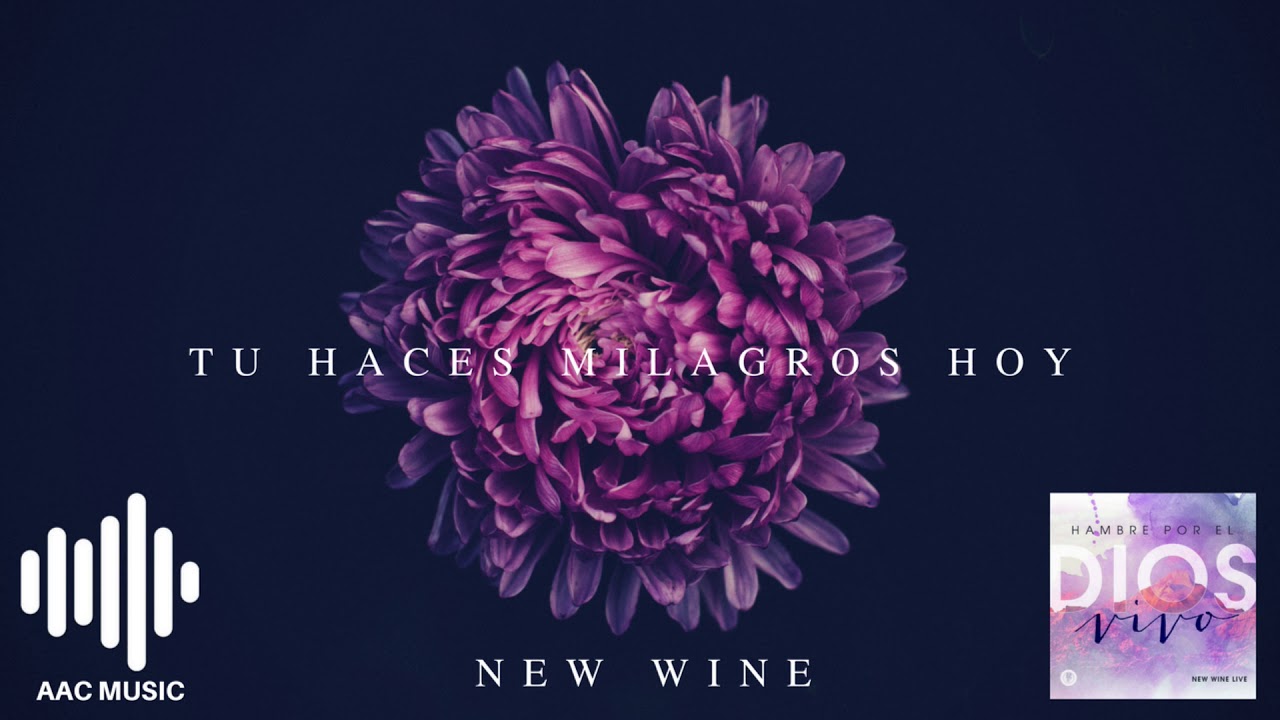 Tu Haces Milagros Hoy - New Wine - YouTube
