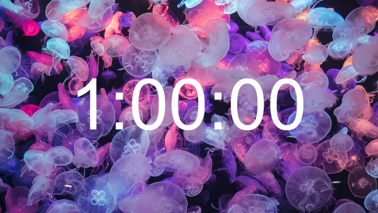 1 hour countdown timer with JELLY FISH - YouTube