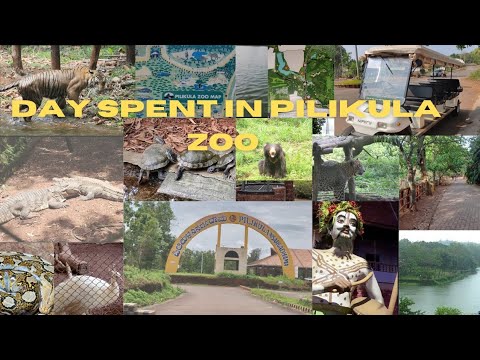 @Pilikula zoo journey!!!!! - YouTube