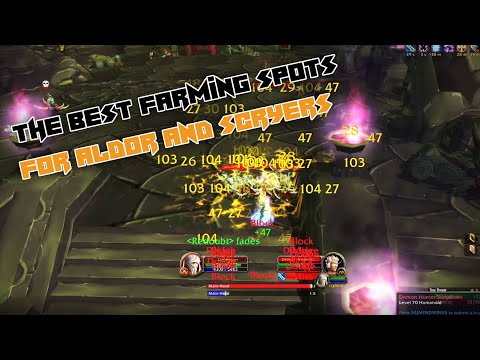 Can You Farm Aldor and Scryers Rep With Bad Gear?