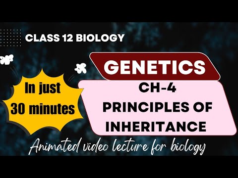 Class 12 |Principles of Inheritance|Genetics|Mendelism|Mendel|Laws of ...