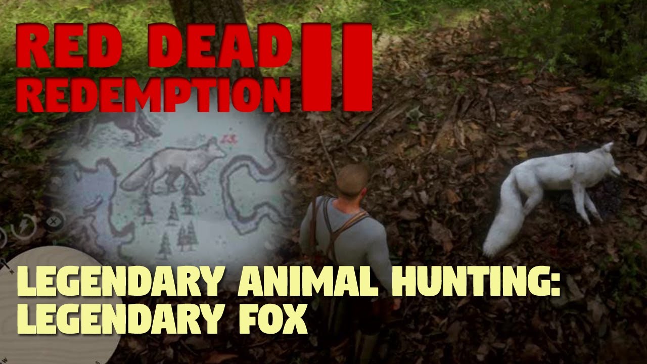 LEGENDARY FOX Red Dead Redemption 2 Gameplay - Legendary Animal Hunting ...