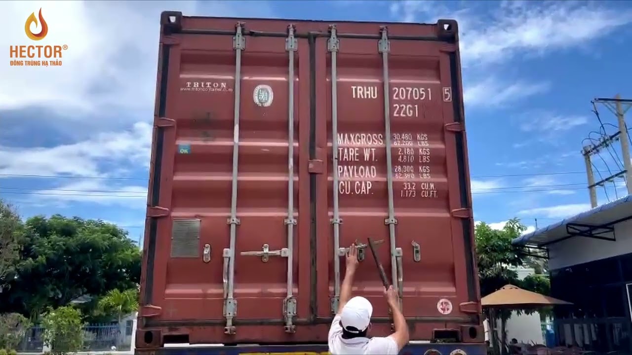 LAVITE | HÌNH ẢNH CONTENER ĐÔNG TRÙNG HẠ THẢO HECTOR ĐẦU TIÊN XUẤT KHẨU ...