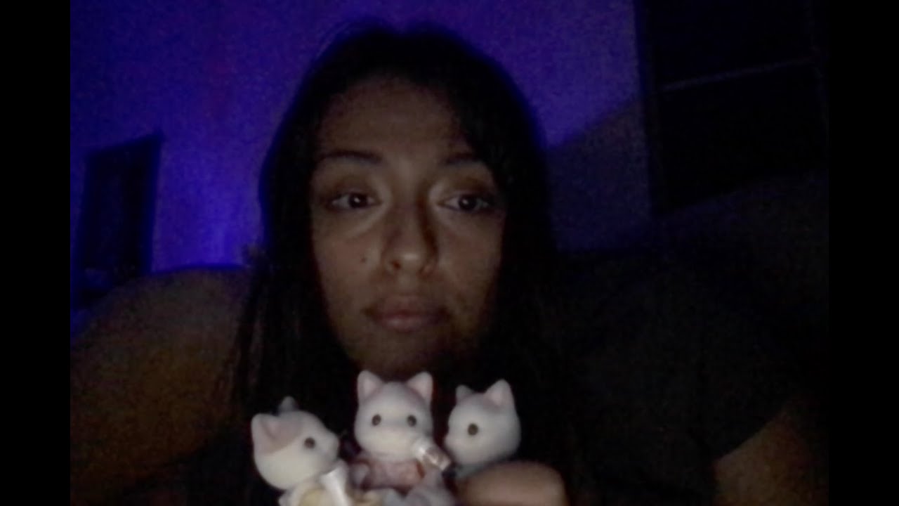 telling you the latte cat family lore (calico critter asmr) - YouTube