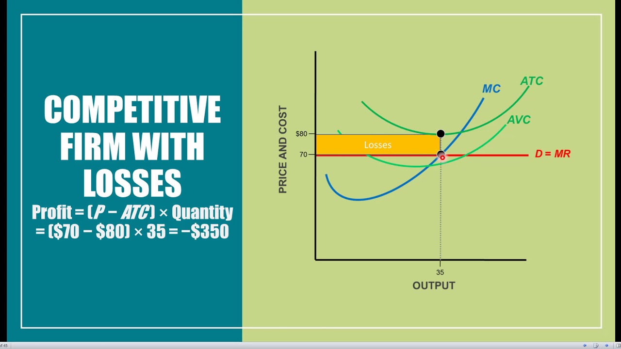 ECO 2023 Microeconomics -- Chapter 8.07: Competitive Firm with Losses ...