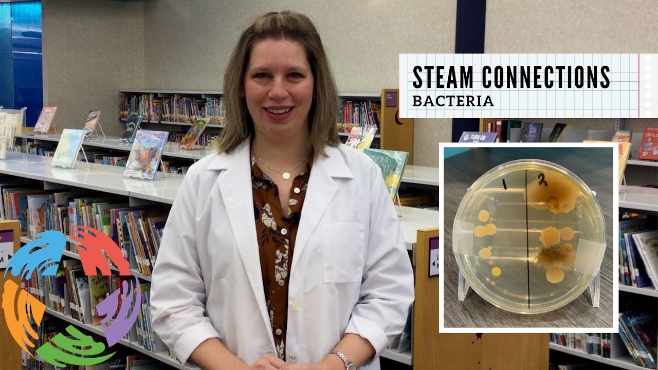 STEAM Connections: Bacteria Supplies and Activity - YouTube