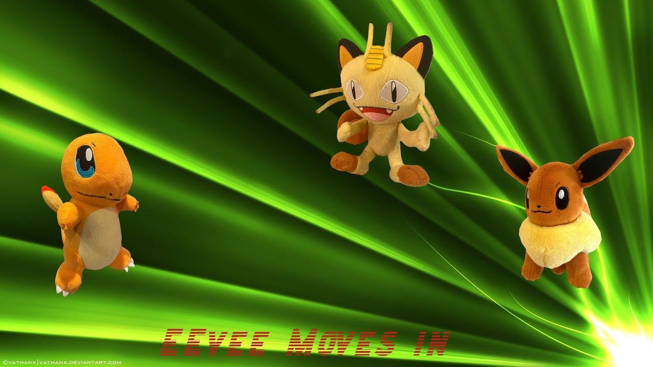 Pokemon11 : Eevee Moves In - YouTube