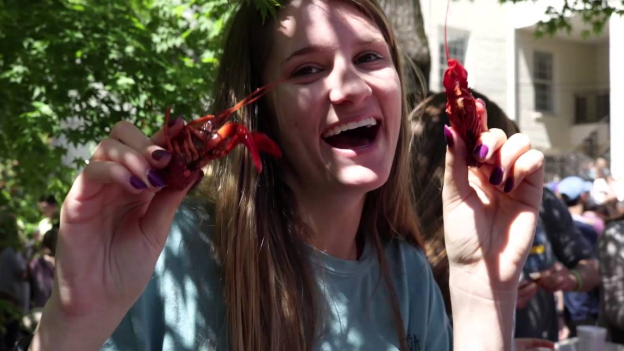 Ole Miss Chi O Crawfish 2016 - YouTube