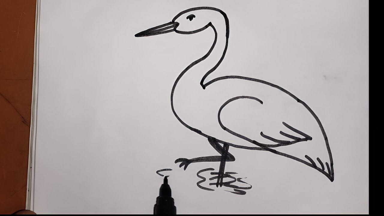 how to draw a heron easily | easy heron drawing - YouTube