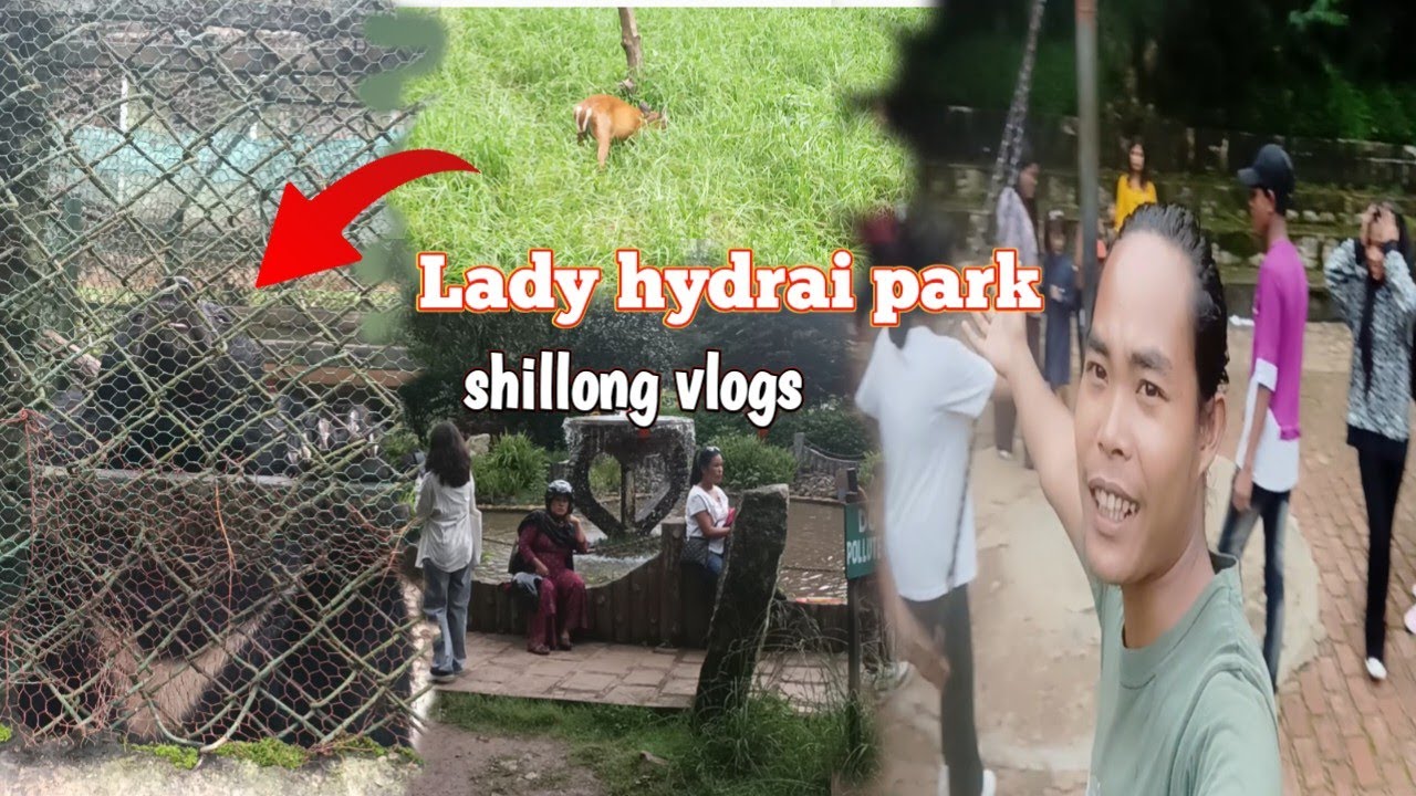 Lady Hydari park | First vlog video shillong meghalaya - YouTube