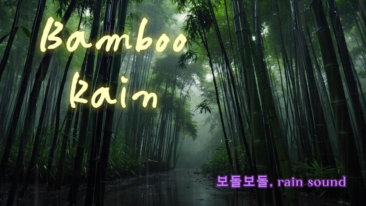 Bamboo Rain Sounds for Sleep / Dark screen in 1 Hour / relax, insomnia ...