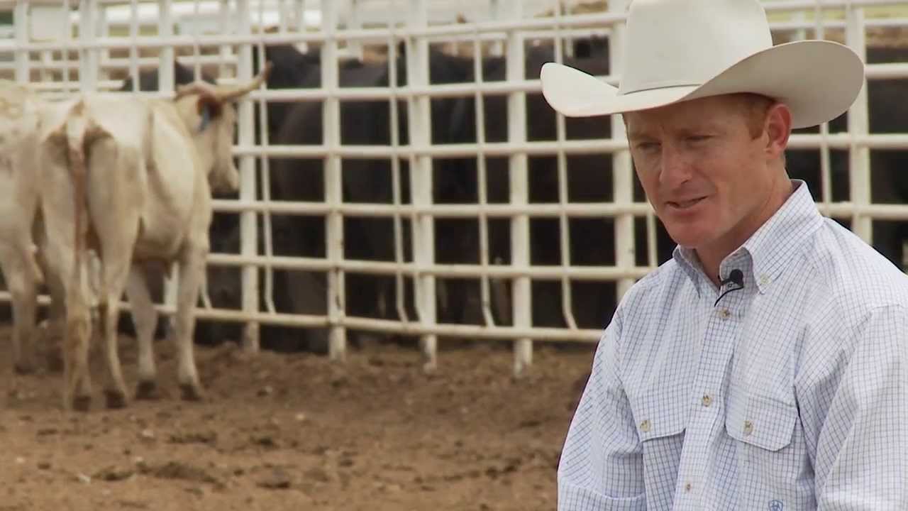 The Ride with Cord McCoy: The Making of a World Champion Bucking Bull ...