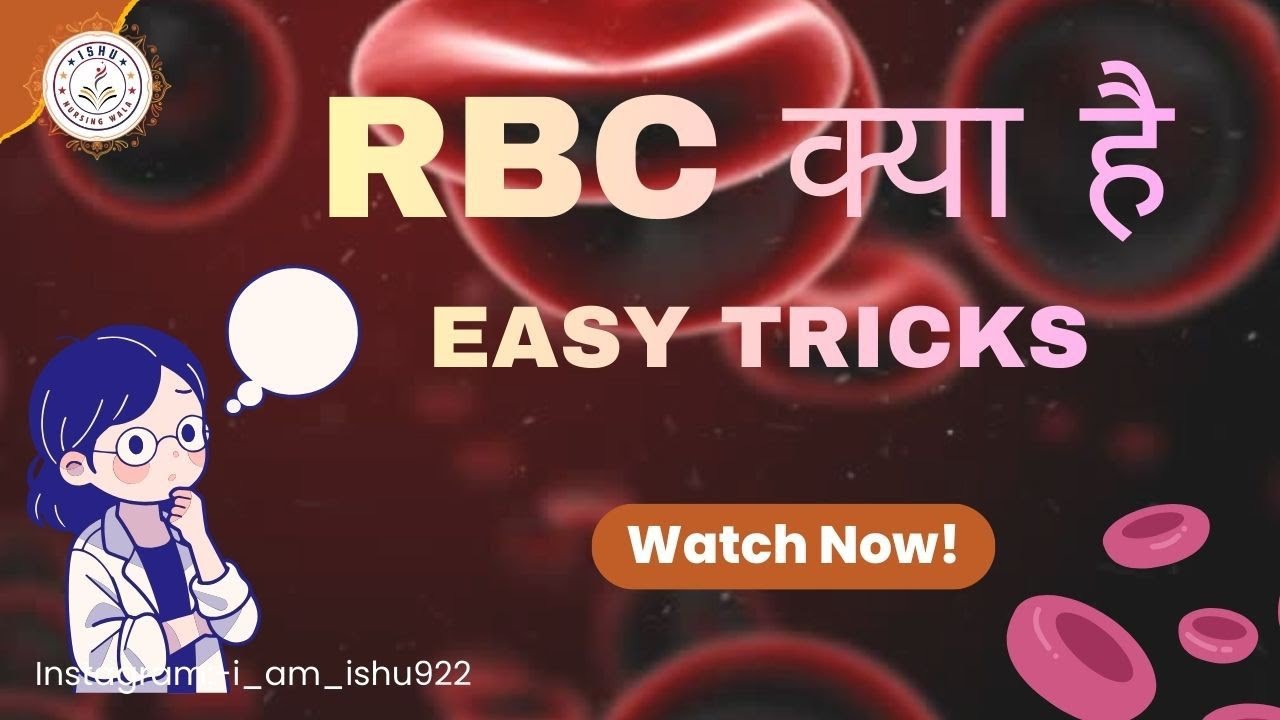 Red Blood Cells (RBC): Functions, Structure & Importance | Full ...